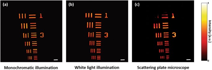 Scatter-plate microscope for lensless microscopy with diffraction ...