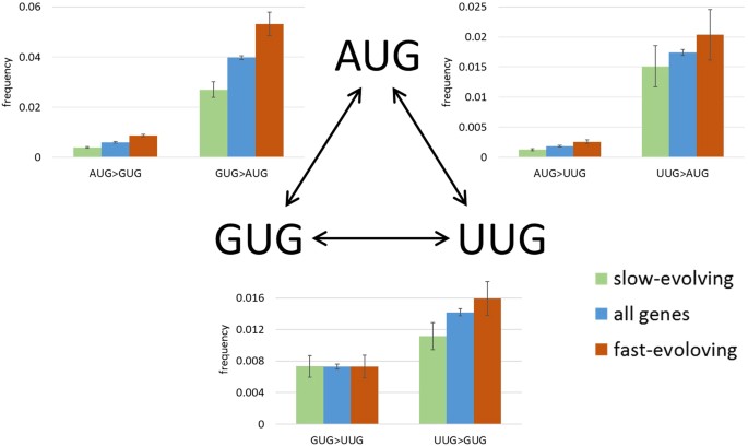 Selection on start codons in prokaryotes and potential compensatory ...