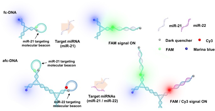 Fluorescence-coded DNA Nanostructure Probe System to Enable ...