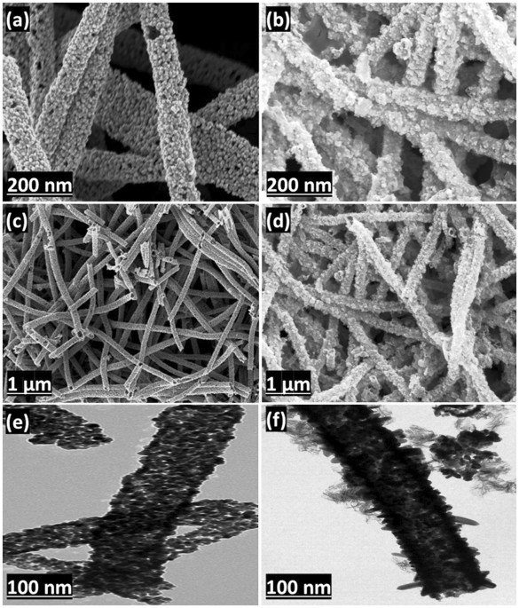 SnO 2 hollow nanotubes: a novel and efficient support matrix for enzyme ...
