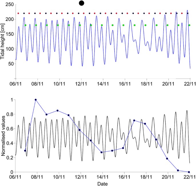 Patterns of biophonic periodicity on coral reefs in the Great Barrier ...