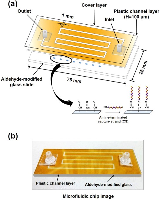 On-Chip Fluorescence Switching System for Constructing a Rewritable ...