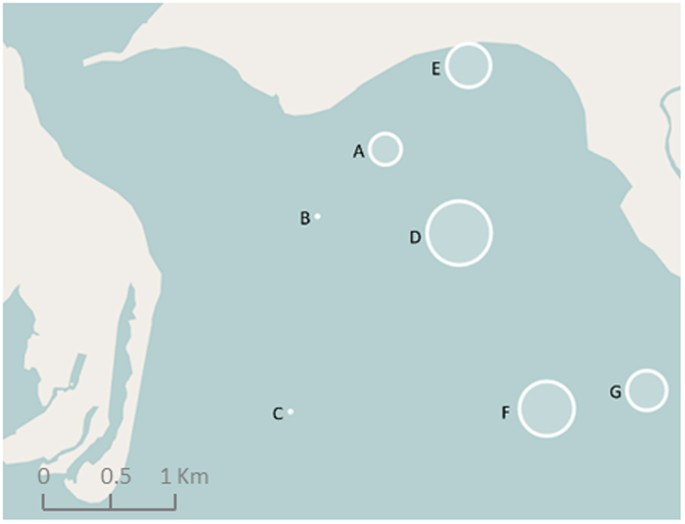 Fisheries-independent surveys identify critical habitats for young ...