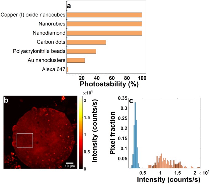 Fluorescence brightness and photostability of individual copper (I ...
