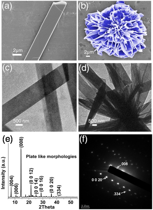 Single Crystal Organic Nanoflowers | Scientific Reports