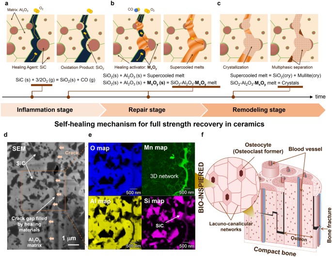 A Novel Design Approach for Self-Crack-Healing Structural Ceramics with ...
