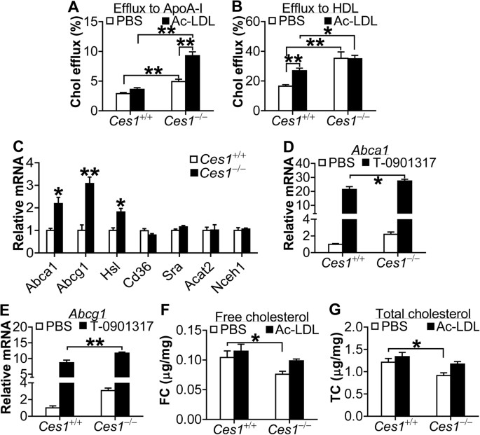 Global inactivation of carboxylesterase 1 ( Ces1/Ces1g ) protects ...