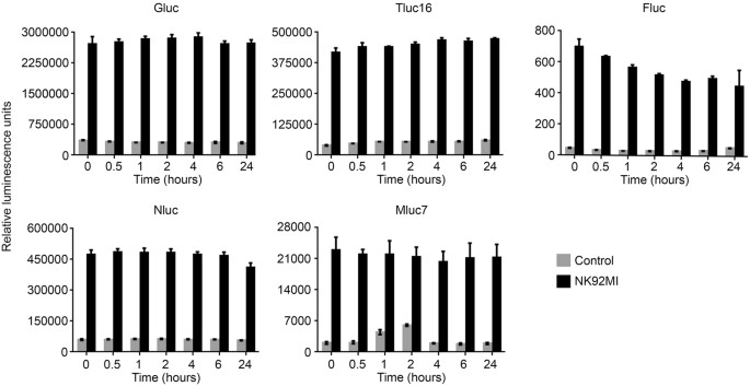 Development and characterization of a novel luciferase based ...