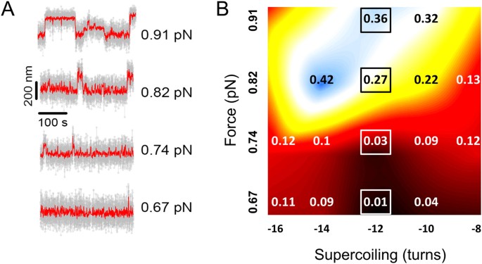 oriD structure controls RepD initiation during rolling-circle ...