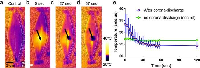 Adhesive Leaf Created by a Corona Discharge | Scientific Reports