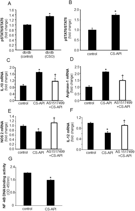 Novel mechanisms of Collagenase Santyl Ointment (CSO) in wound ...