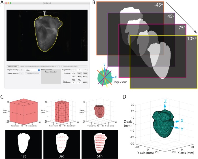 RHYTHM: An Open Source Imaging Toolkit for Cardiac Panoramic Optical ...