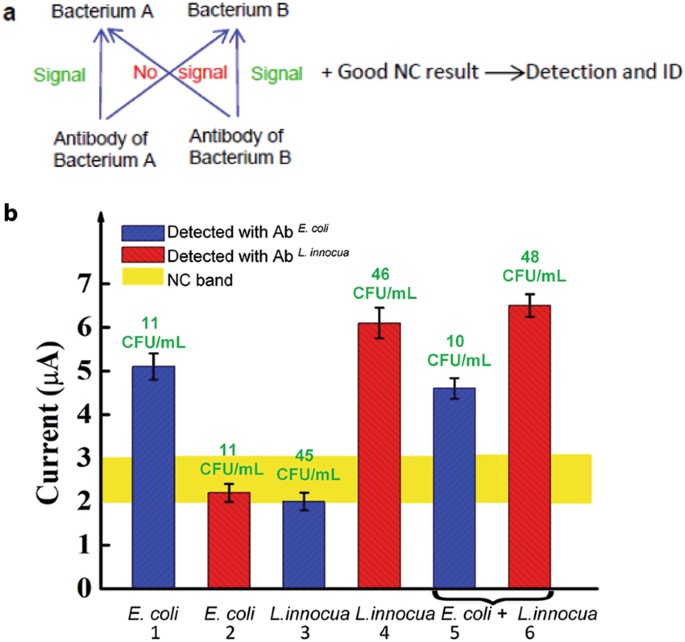 Culture-free bacterial detection and identification from blood with ...