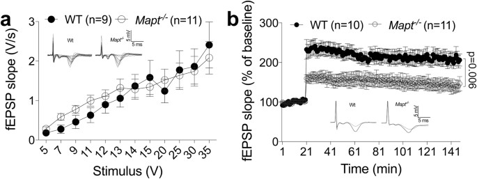 A Role For Tau In Learning Memory And Synaptic Plasticity Scientific