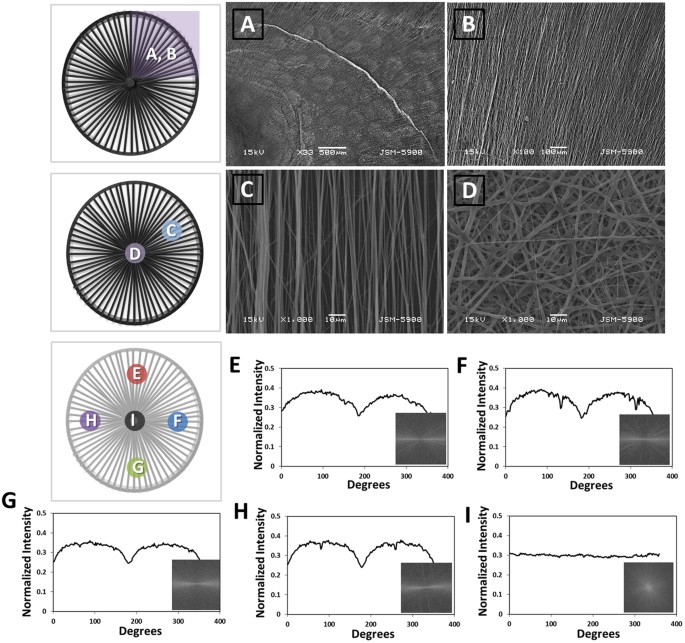 Fabrication of transparent hemispherical 3D nanofibrous scaffolds with ...