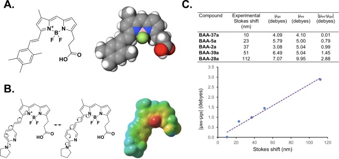 Varied Length Stokes Shift BODIPY-Based Fluorophores for Multicolor ...