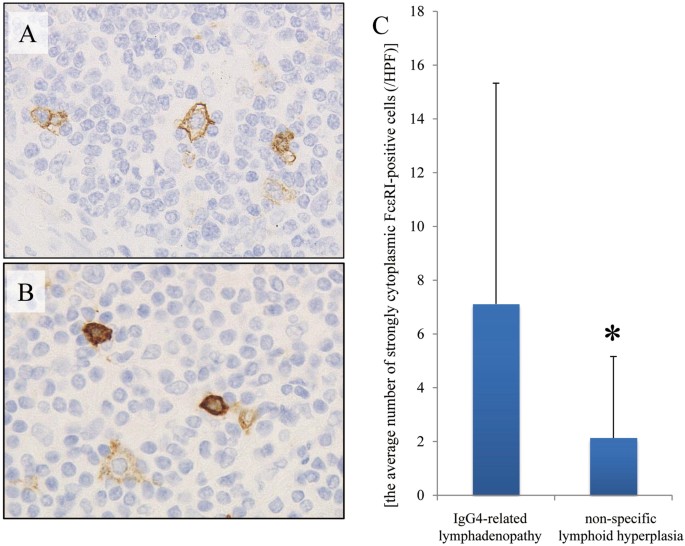 Mast Cells Exhibiting Strong Cytoplasmic Staining for IgE and High ...