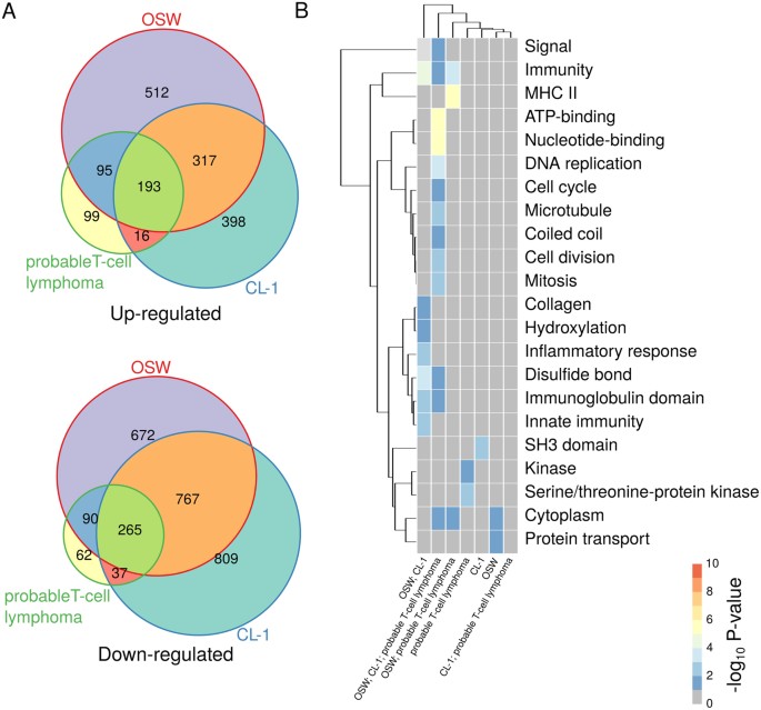 Comparative High-Resolution Transcriptome Sequencing of Lymphoma Cell ...