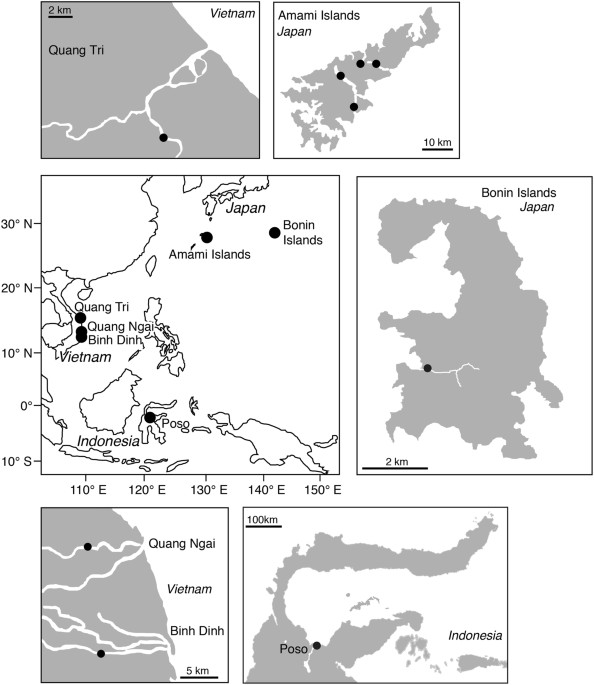 Opportunistic migration and habitat use of the giant mottled eel ...
