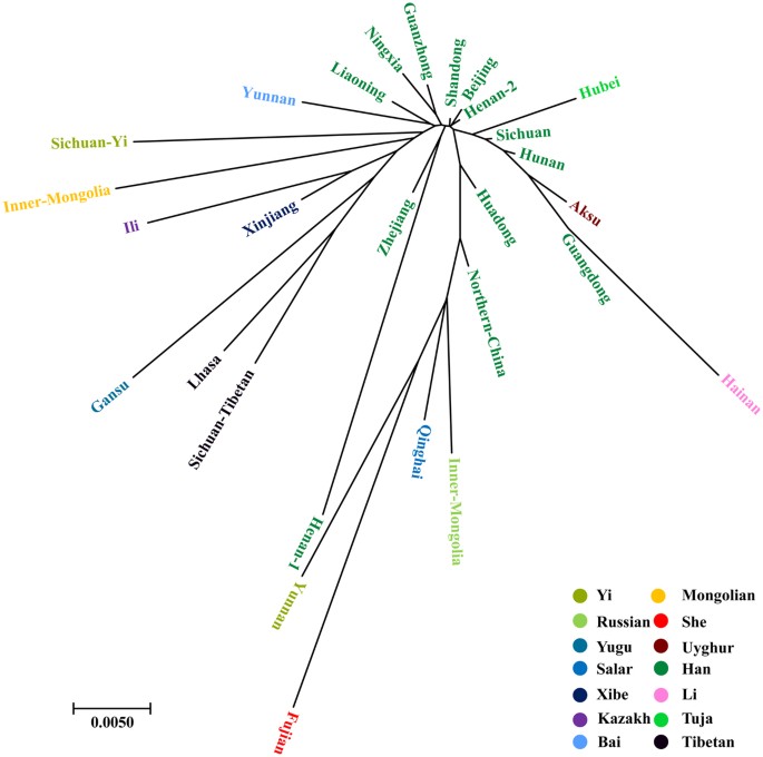 Genetic diversity and phylogenetic characteristics of Chinese Tibetan ...