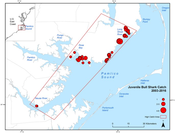 Increased Abundance and Nursery Habitat Use of the Bull Shark ...