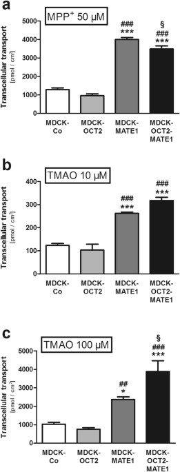 Contribution of multidrug and toxin extrusion protein 1 (MATE1) to ...