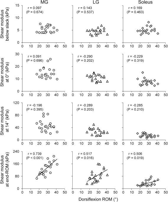 Associations of passive muscle stiffness, muscle stretch tolerance, and ...