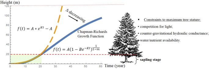 Evapotranspiration and favorable growing degree-days are key to tree ...
