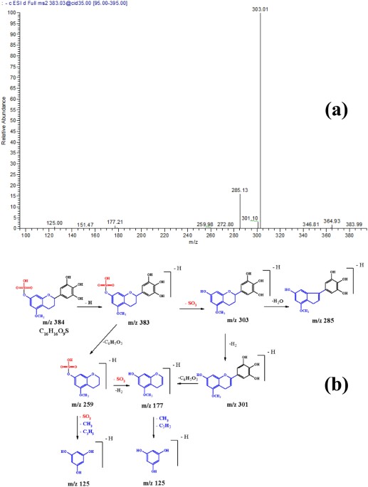 Tannin-rich extracts from Lannea stuhlmannii and Lannea humilis ...
