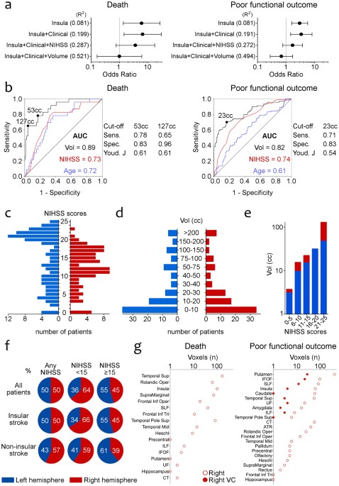 Prognostic Significance of Infarct Size and Location: The Case of ...