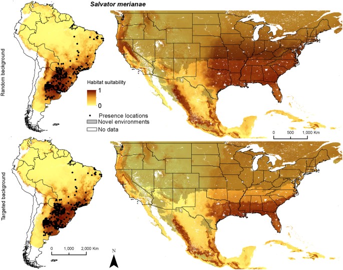 Modeling the distributions of tegu lizards in native and potential ...