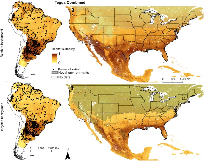 Modeling the distributions of tegu lizards in native and potential ...