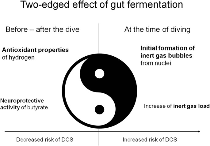 Stimulating fermentation by the prolonged acceleration of gut transit ...