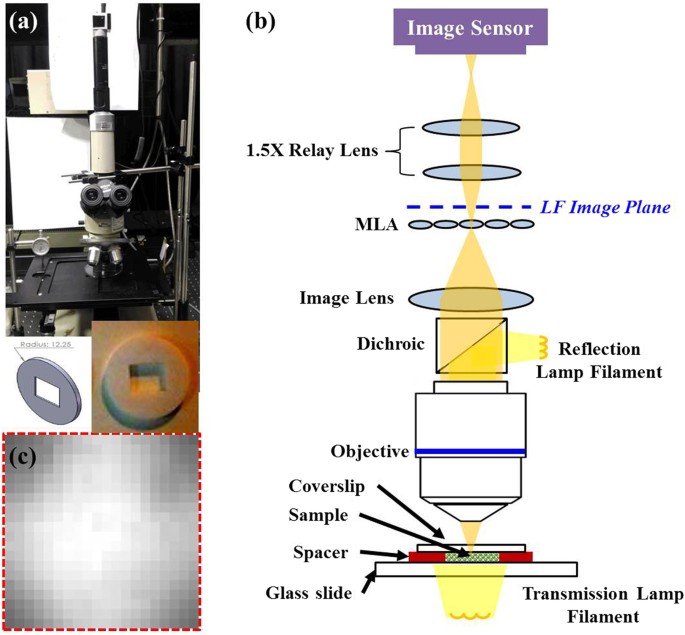 3D surface morphology imaging of opaque microstructures via light-field ...