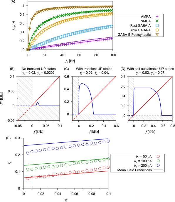 Transient and Persistent UP States during Slow-wave Oscillation and ...