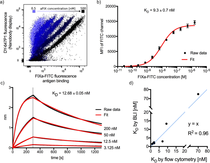 An improved yeast surface display platform for the screening of ...
