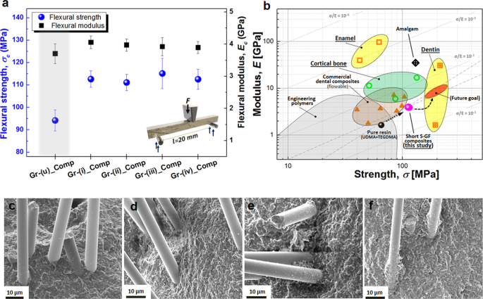 Selective Atomic-Level Etching on Short S-Glass Fibres to Control ...