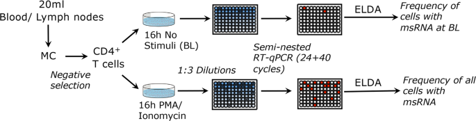 A Tat/Rev Induced Limiting Dilution Assay to Measure Viral Reservoirs ...