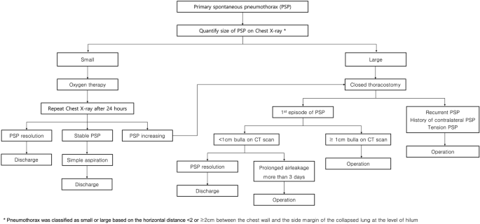 Simultaneous Viscum pleurodesis and video-assisted thoracic surgery ...