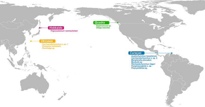 Patterns of host-parasite associations between marine meiofaunal ...