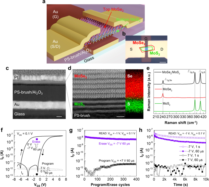 Engineering MoSe2/MoS2 heterojunction traps in 2D transistors for ...