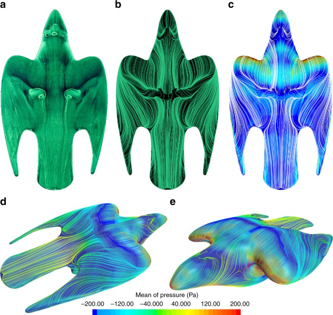 Vortices enable the complex aerobatics of peregrine falcons ...
