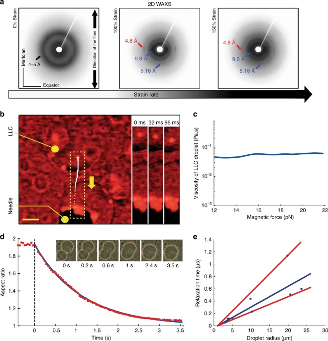 Phase transitions as intermediate steps in the formation of molecularly ...