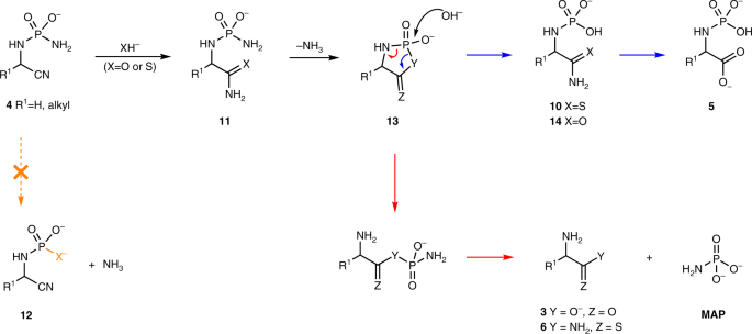 Selective prebiotic synthesis of phosphoroaminonitriles and ...