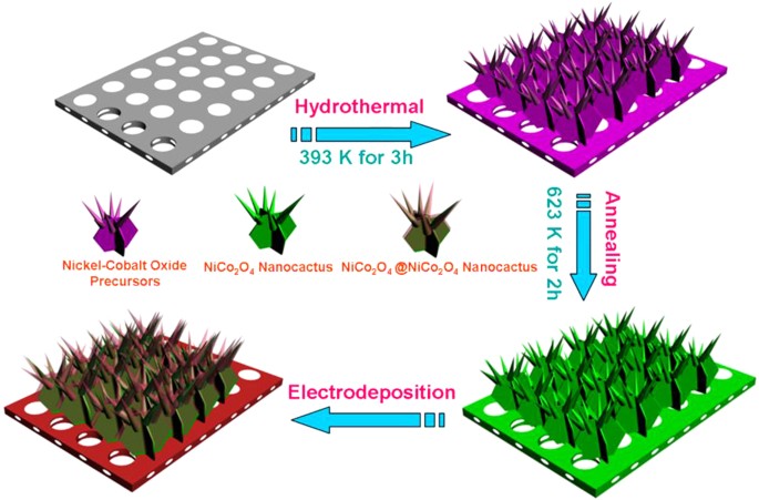 Hierarchical Core/Shell NiCo 2 O 4 @NiCo 2 O 4 Nanocactus Arrays with Dual-functionalities for ...