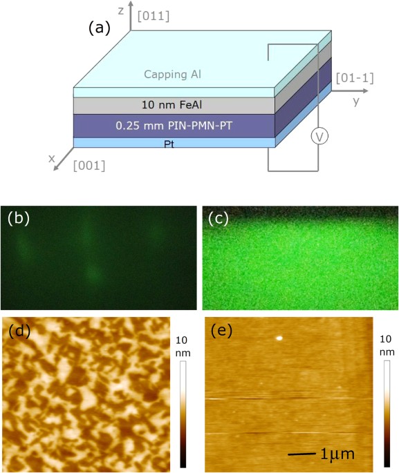 Four-state memory based on a giant and non-volatile converse ...