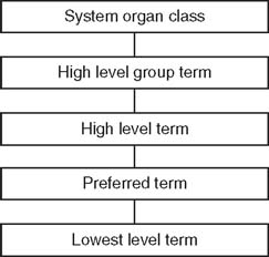 MedDRA | SpringerLink