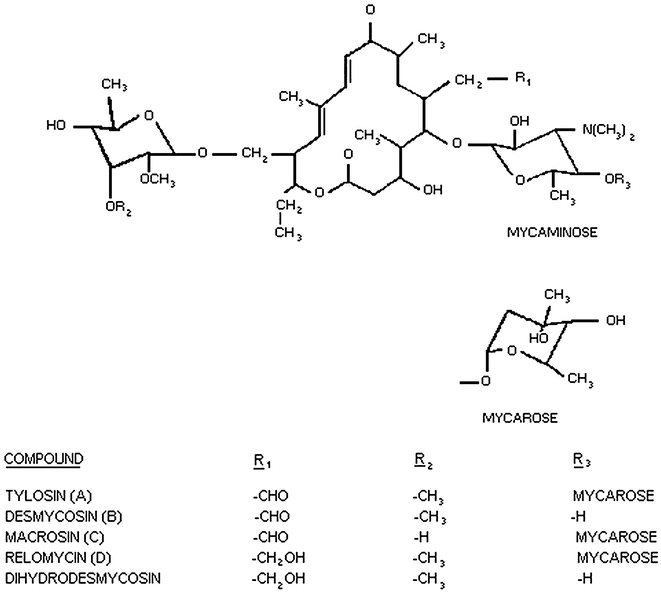 Effect of cooking procedures on tylosin residues in chicken meatball ...