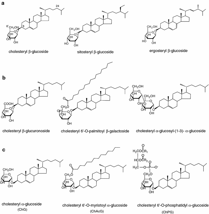 Immunological Functions of Steryl Glycosides | SpringerLink