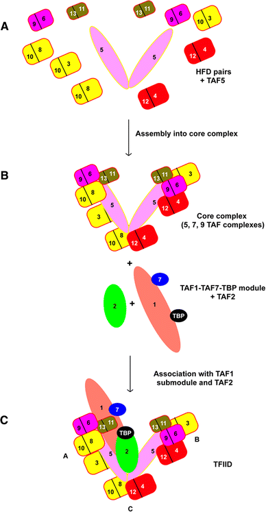 Recent advances in understanding the structure and function of general ...